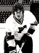 Bienvenue sur le site Internet officiel de la LHJMQ