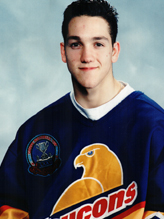 Bienvenue sur le site Internet officiel de la LHJMQ
