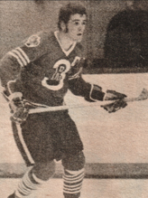 Bienvenue sur le site Internet officiel de la LHJMQ