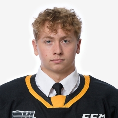 CHL Official Statistics